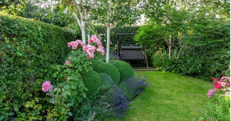 Top 15 Small Evergreen Flowering Shrubs for Tiny Yards - ingardenbetty.com