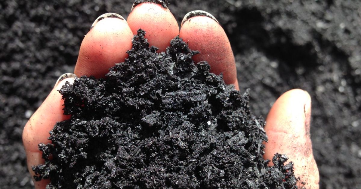 What is Biochar Used For - ingardenbetty.com